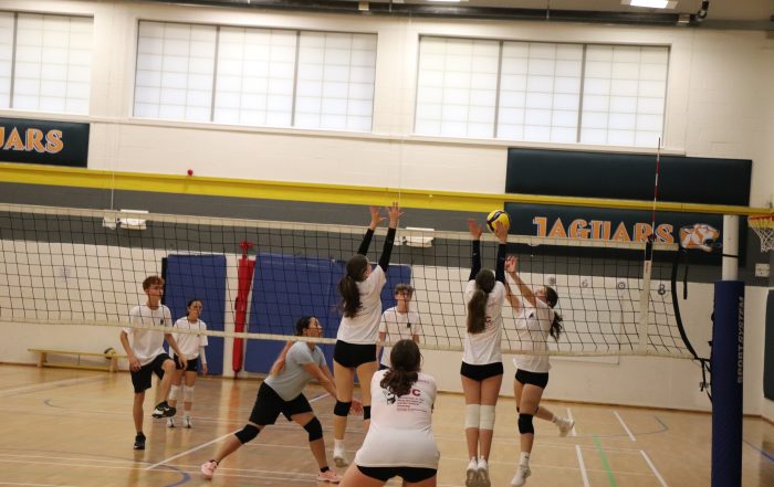 Home Page - Volleyball Development Camps